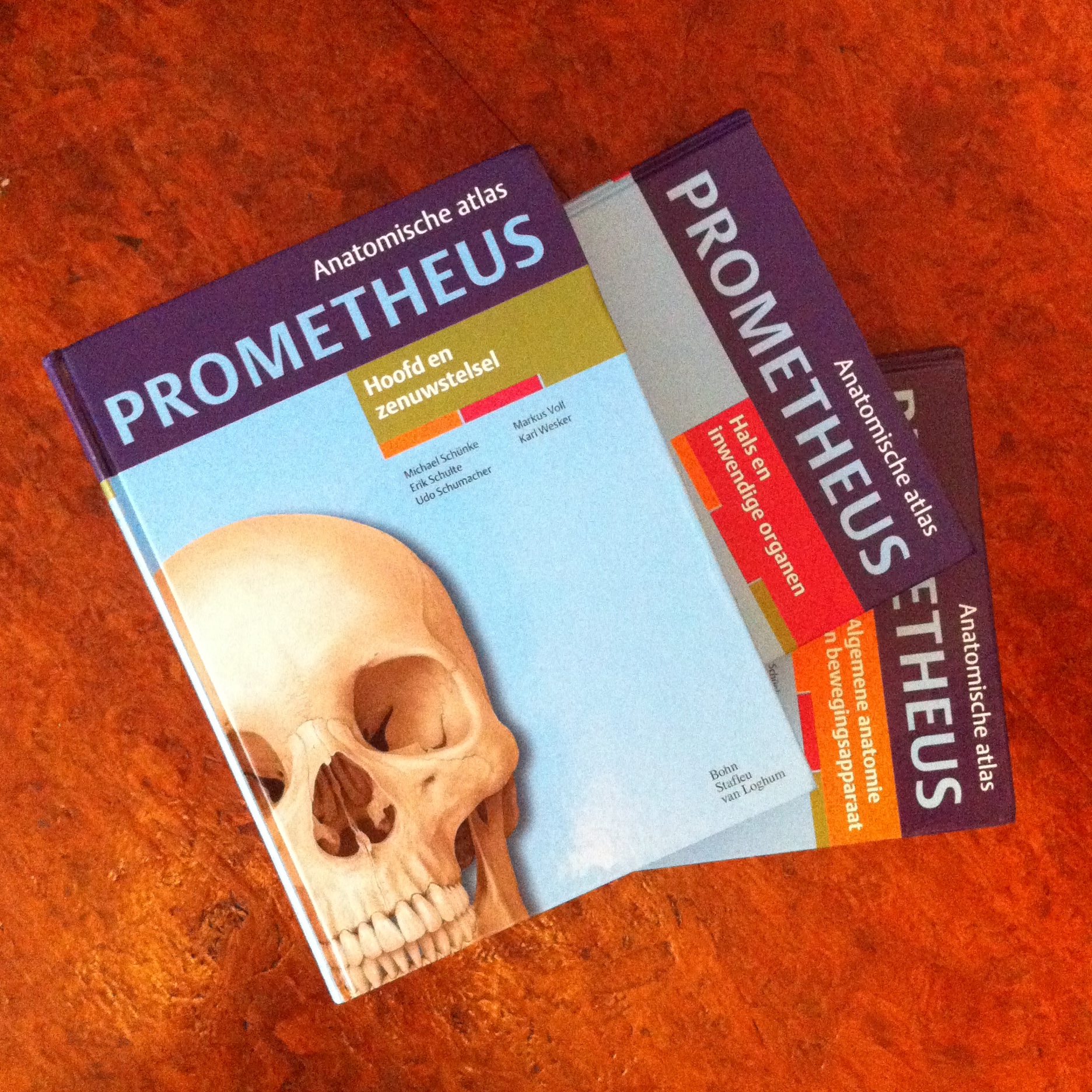 Anatomische atlas Prometheus | textual